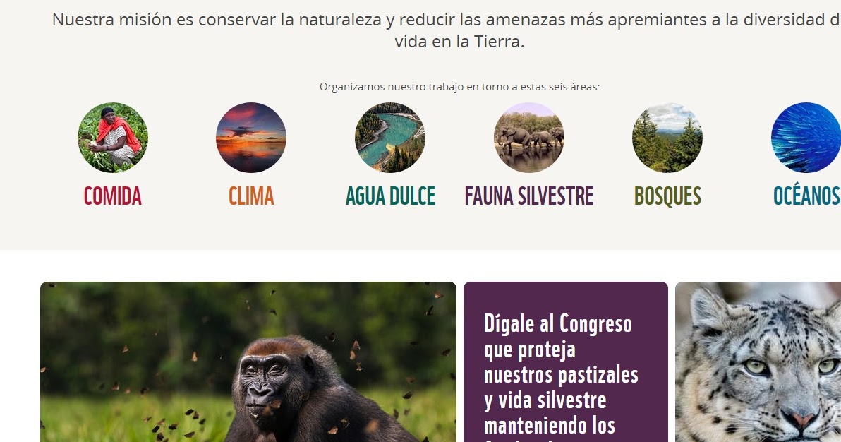 WWF Y SU IMPORTANTE LABOR