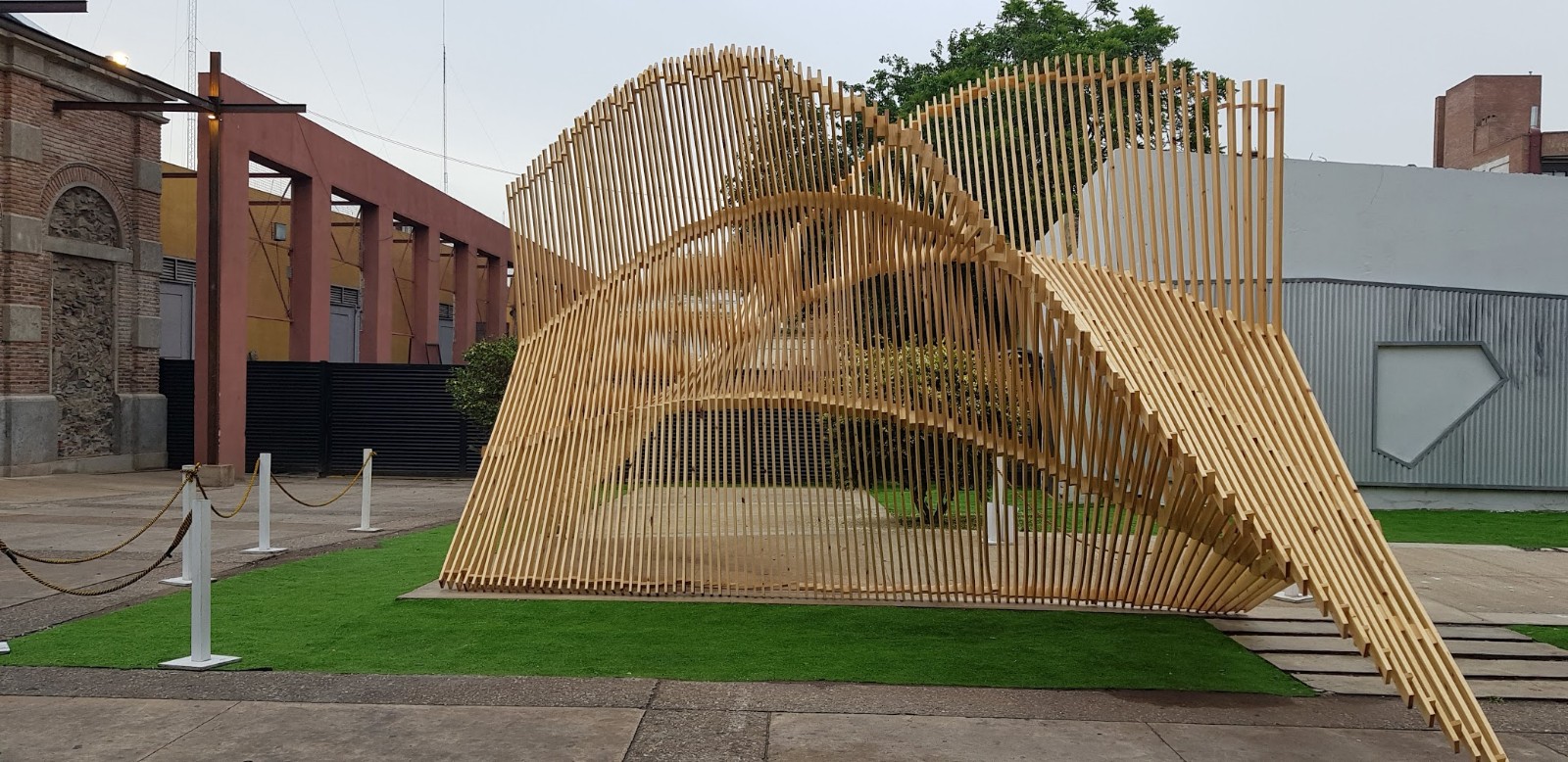 Córdoba Forestal: ¡CONOCÉ EL TOCO MADERA XL!