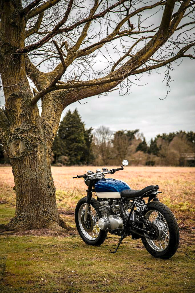 Blue & Cream - Inazuma café racer