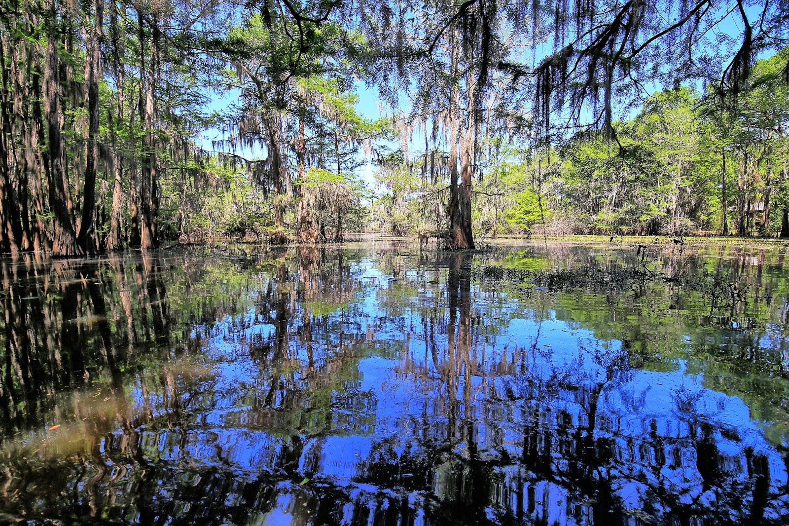 CWUAP: An Unusual World