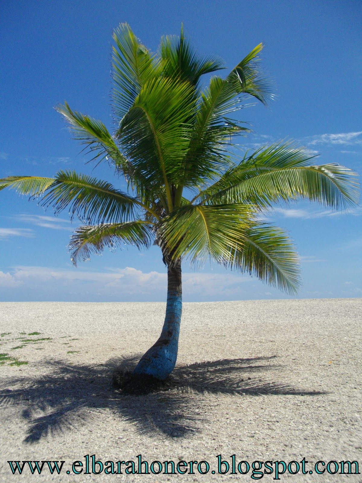 ¡Qué bella es Barahona!|El Barahonero