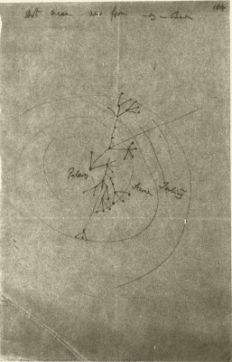 The Genealogical World of Phylogenetic Networks: Pierre Trémaux, the ...