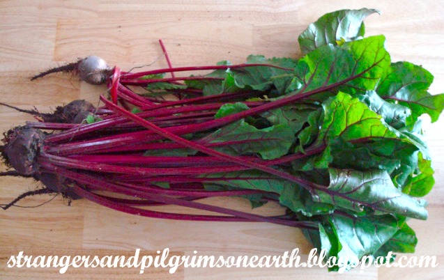 Strangers & Pilgrims on Earth: Bouquet of Beets and Serving Suggestions