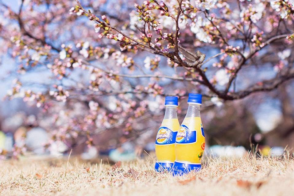 Food Science Japan: Suntory Orangina and Cherry Blossoms