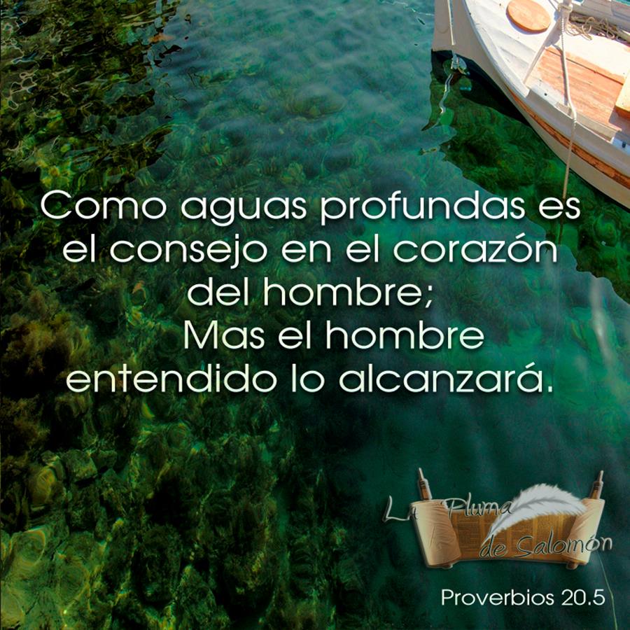 Proverbios 20:5