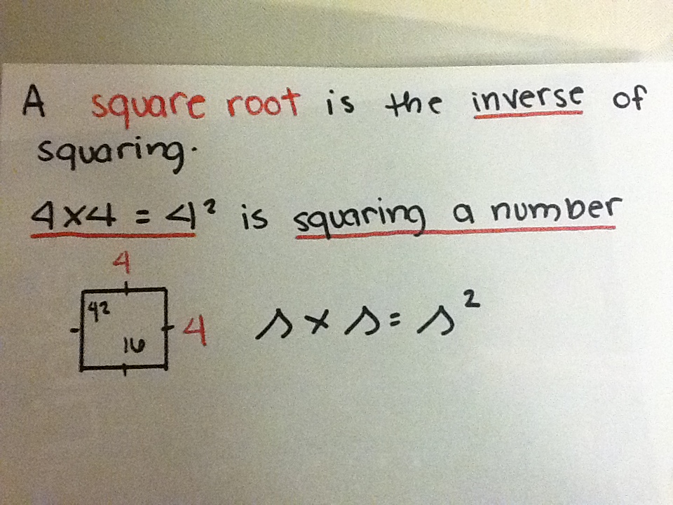 873 Math Blog (2011): Marielle's Scribe Post