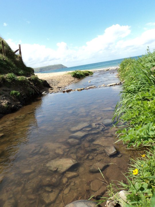 Where Roots And Wings Entwine: Water - See It, Snap It, Love It