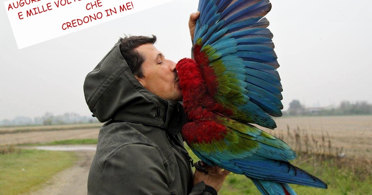 "IL MIO VIAGGIO CON I PAPPAGALLI - PAPPAGALLI IN VOLO COMMUNITY ...