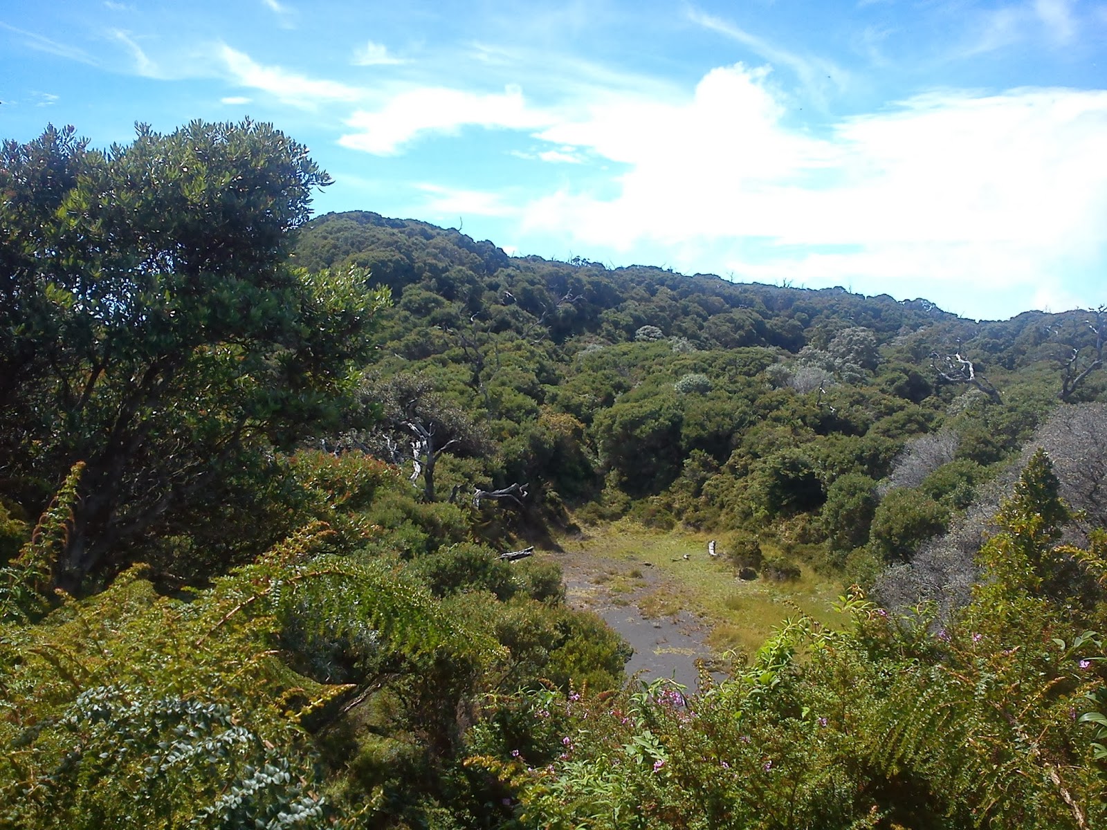 ECOSISTEMAS DE COSTA RICA: RESERVA FORESTAL RUBÉN TORRES ROJAS