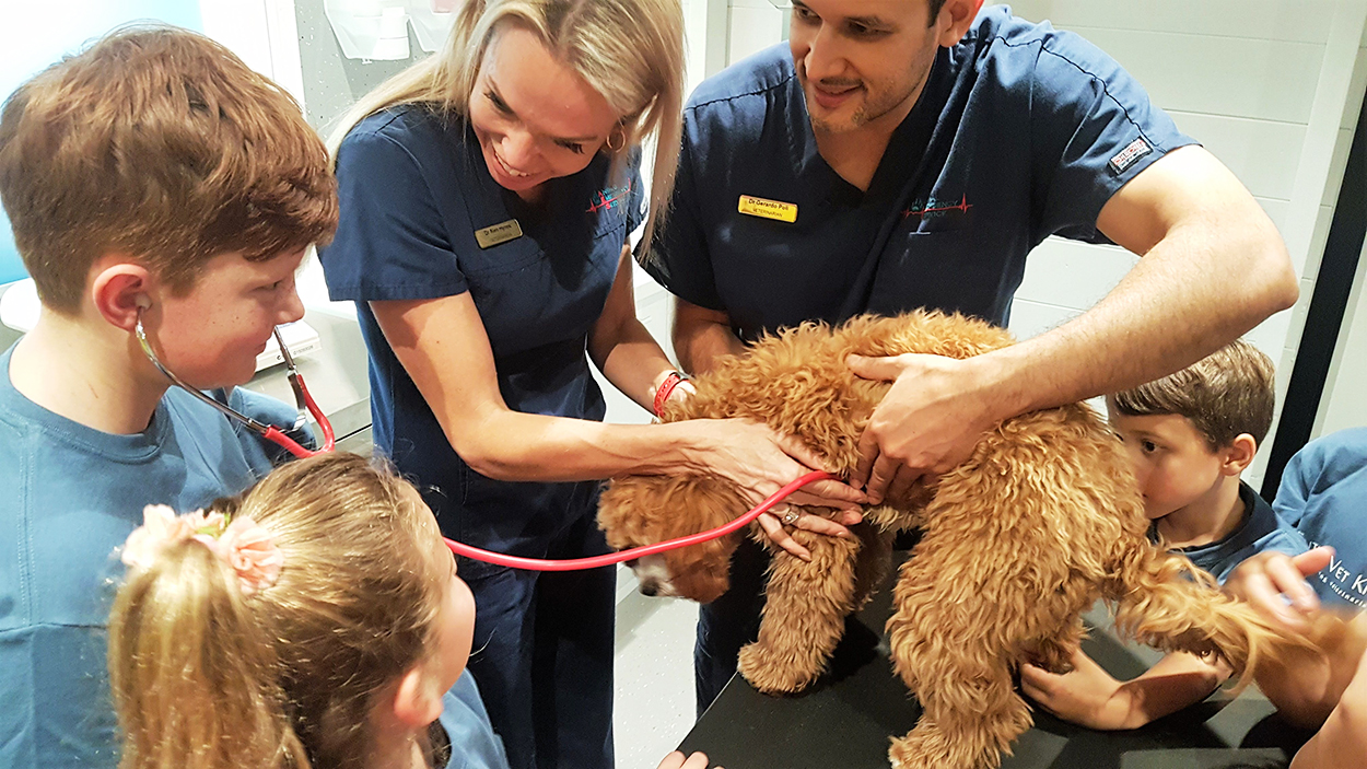 Future Vet Kids Camp 2019 Summer Program Launch | Australian Dog Lover