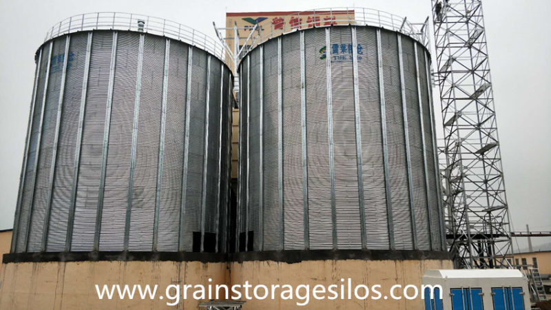 Taian Shelley Engineering Co., Ltd.: Galvanized Grain Silo Installation ...