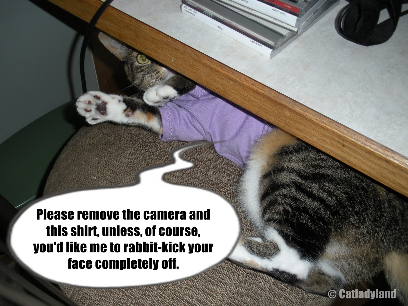 Catladyland: Cats are Funny: November 2011