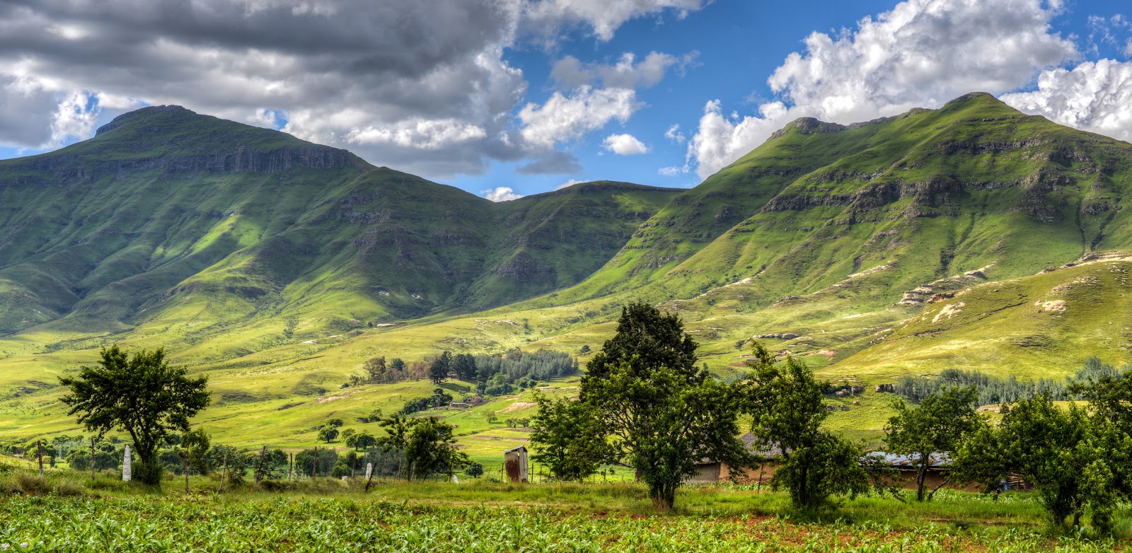 Every Day Is Special: March 21 – National Tree Planting Day in Lesotho