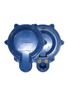 Green Risks: Protect Your Well and Solve One Coliform Problem-$100