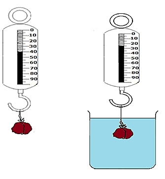 PHYSICS : ARCHIMEDES' PRINCIPLE