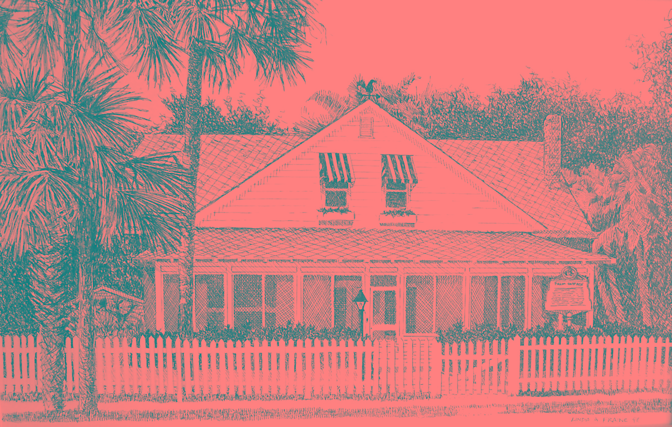 Linsartwork: Pen and Ink Drawings