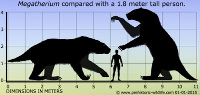 PANGEA: Megatherium Americanum (Giant Ground Sloth)