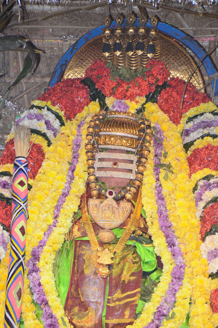 Mahakumbhabhishekam Arunachaleswarar Temple: Evening—Wednesday February ...