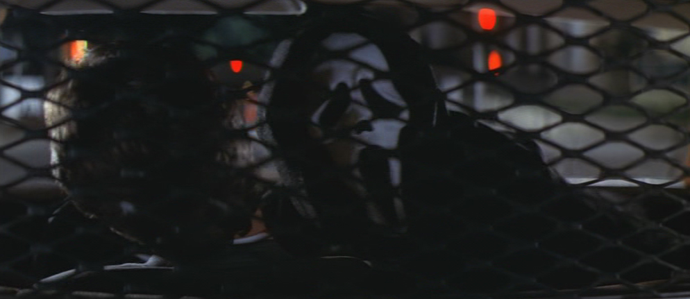 Stale Popcorn: Scream to Scream, Scene by Scene: SCENE 27 of Scream 2 ...