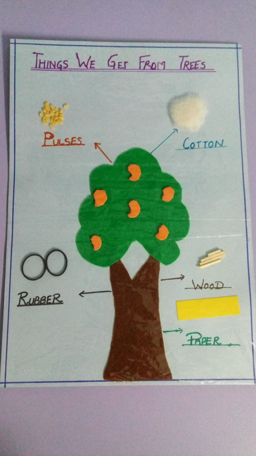 My Life As a MAA: Things we get from trees!