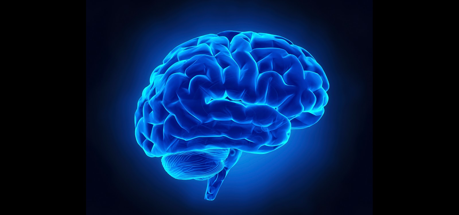 These Five Rituals Will Help Your Brain Stay In Peak Condition these-five-rituals-will-help-your-brain-stay-in-peak-condition