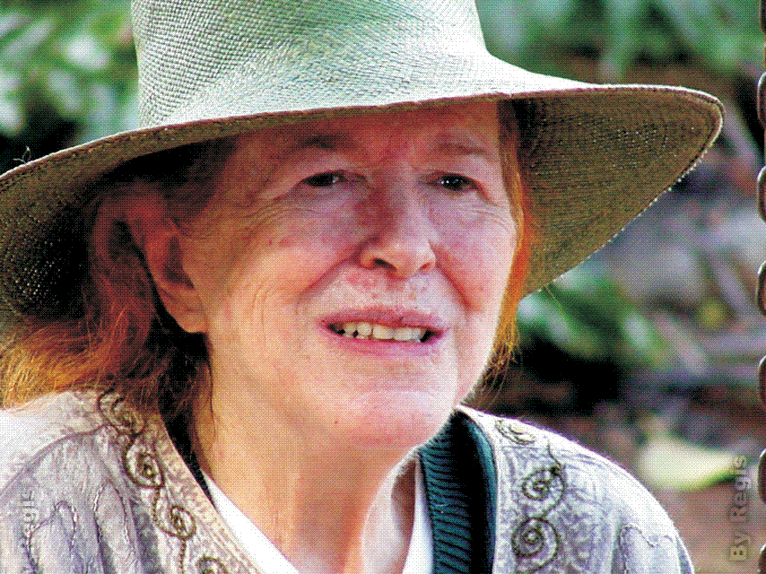 A Outra Sombra: Cresce interesse por obra de Hilda Hilst, dez anos após ...