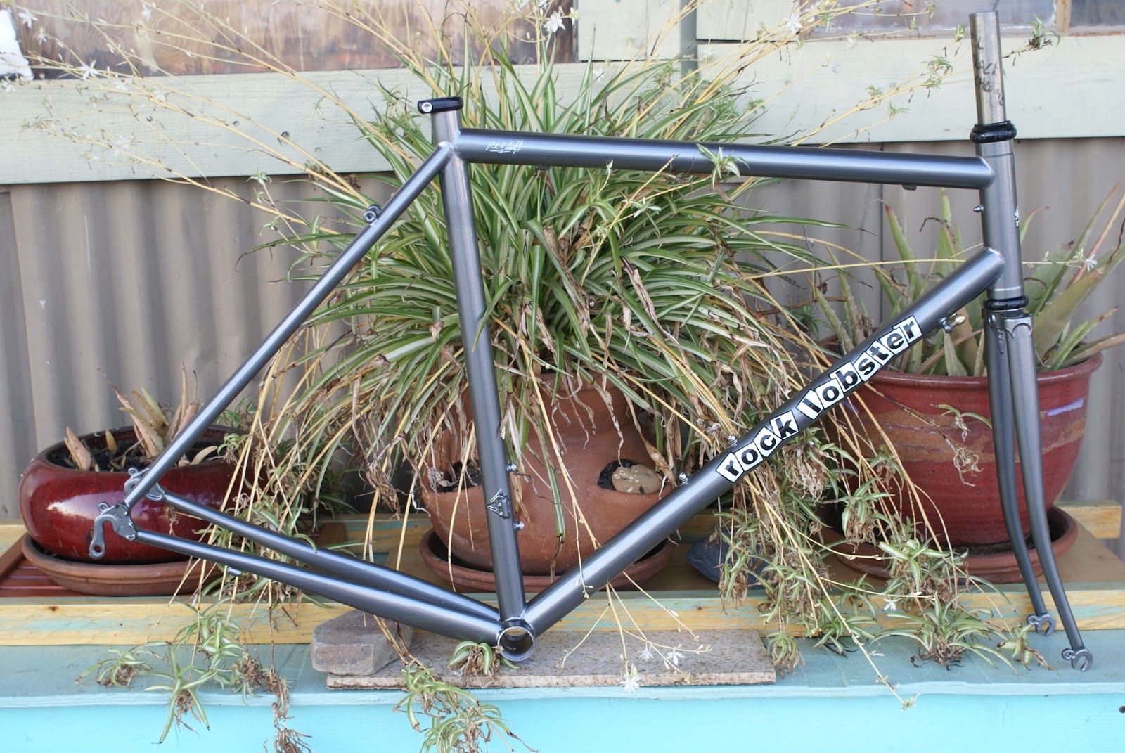 what's up in Santa Cruz: Steel big tire road frame for Santa Monica