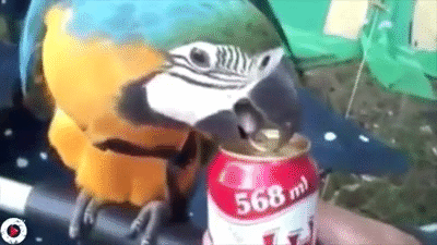 El Jardín del Lúpulo. Web especializada en cerveza.: Sábado Cervecero ...