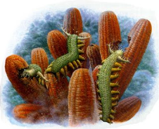 Blog de la Vida Prehistórica: Aysheaia