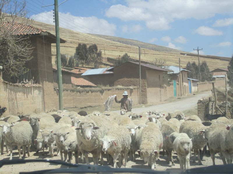Sarah en Perú: Chillen! Tarma? Ok, wenns sein muss!