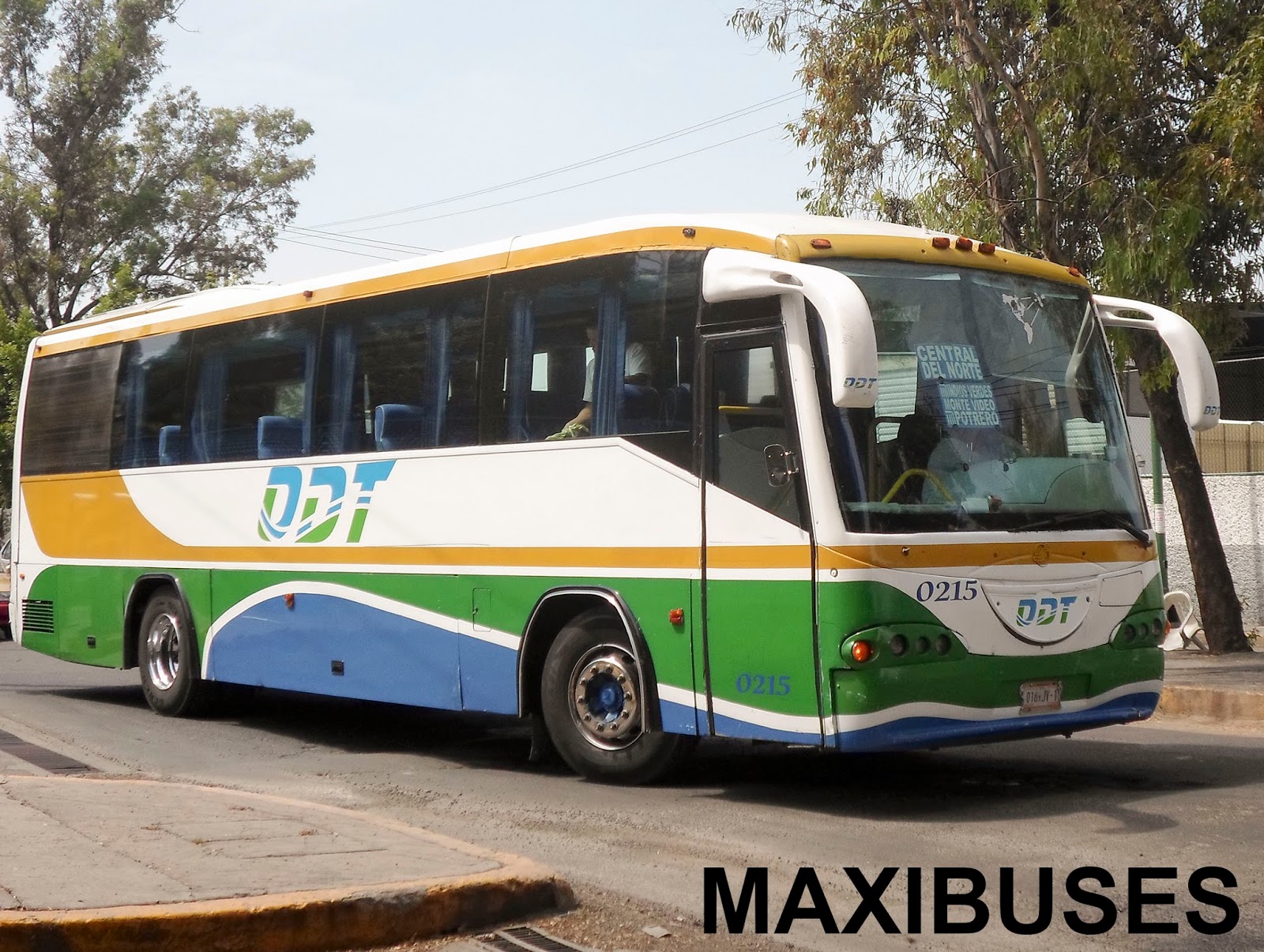 MAXIBUSES: OMNIBUS DE TIZAYUCA - ODT