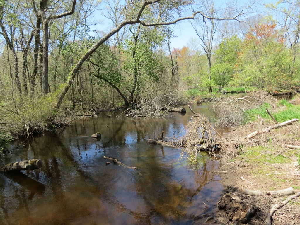 Gone Hikin': Parvin State Park, NJ