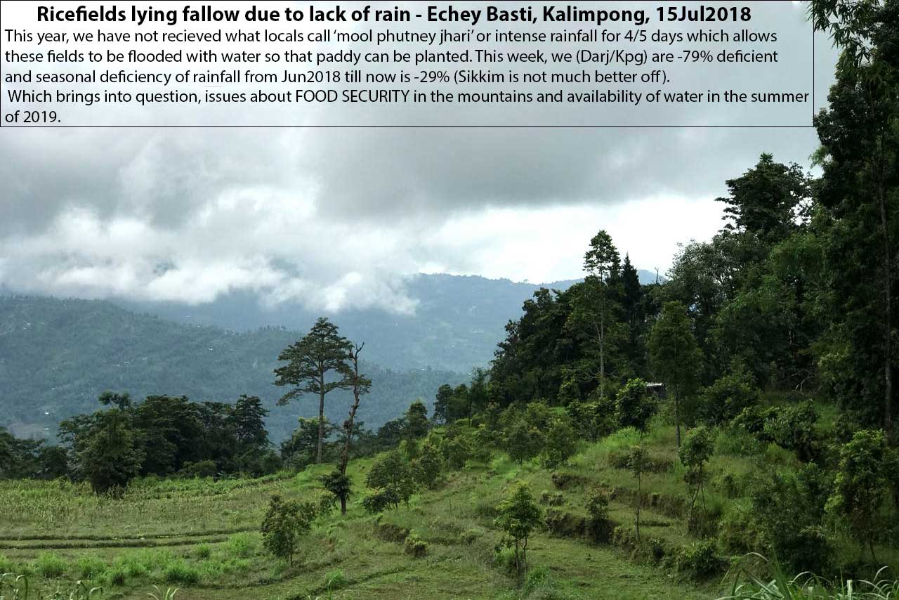 Visions of Hell: Rainfall data of Darjeeling Sikkim Himalayas (July2018)