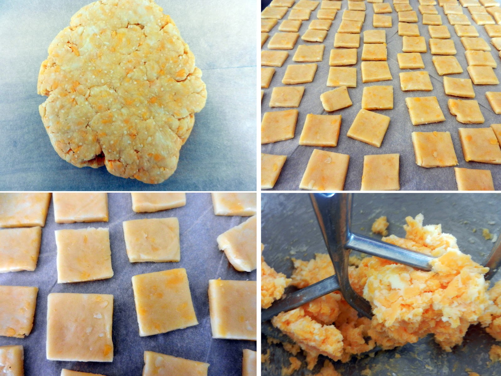 The Rainyday Kitchen Make Your Own Cheese Nibs