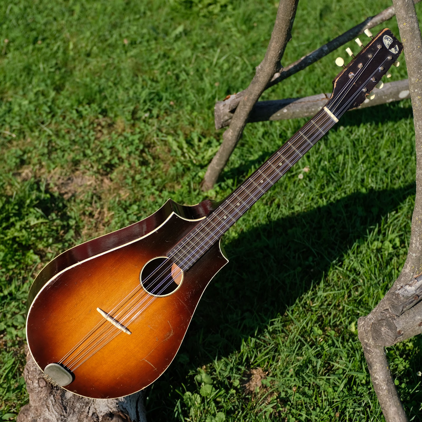 1930s Regal Octofone Octave Mandolin/8 String Tenor Guitar
