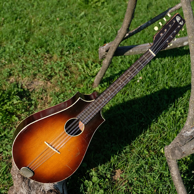 1930s Regal Octofone Octave Mandolin/8 String Tenor Guitar