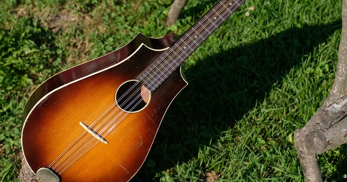 1930s Regal Octofone Octave Mandolin/8 String Tenor Guitar