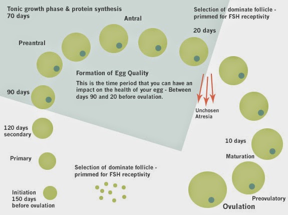 Nothing is certain except death and taxes: Good Eggs and Bad Eggs