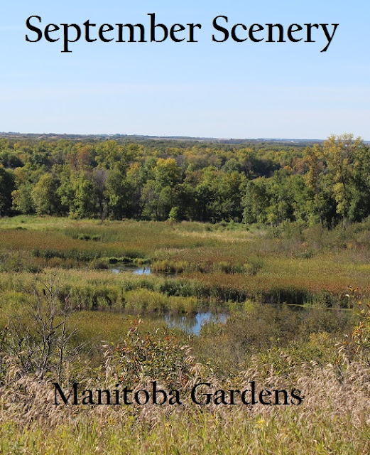 Living Our Lives Well: September Scenery