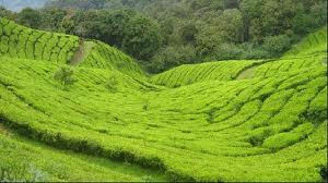 Karala Tourism | Boutique Tourism