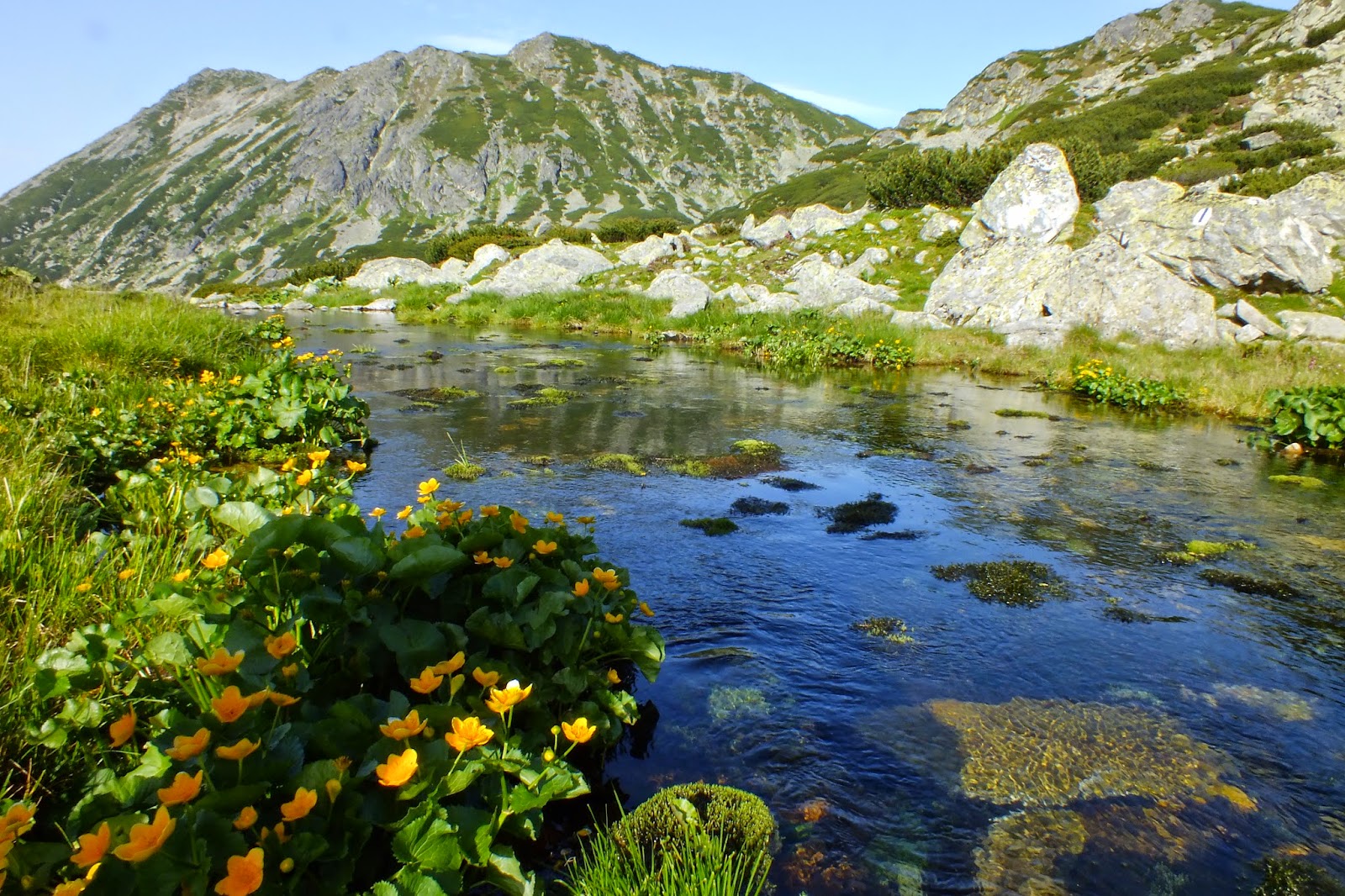 Out There Studio - Photography / People / Travel: Retezat Mountains ...