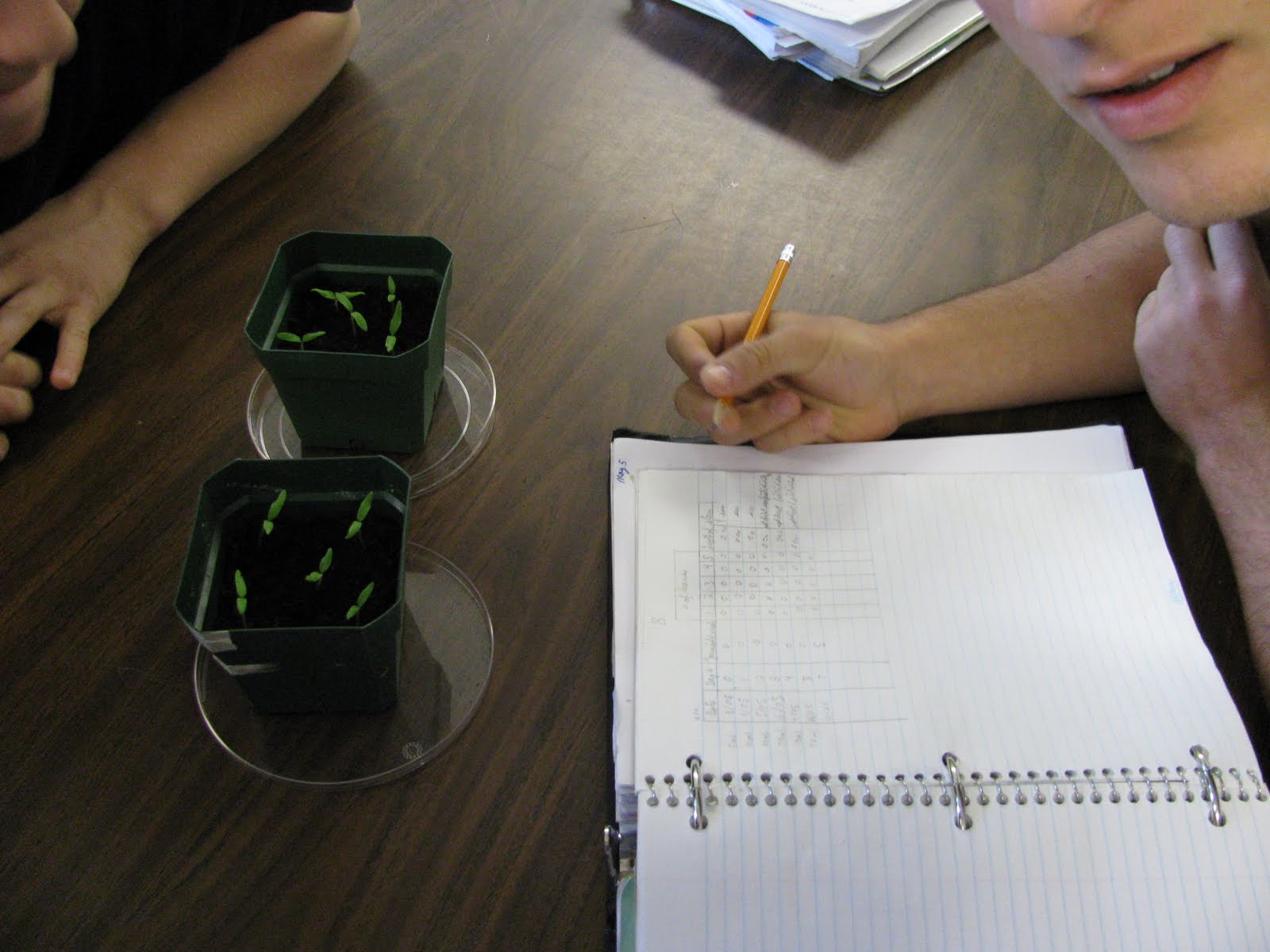 Eureka! Hands-On Minds-On Science: Conducting the Tomatosphere Project ...