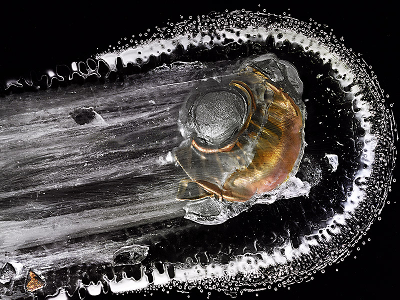 CONTACT FRONT!!!!: Bullet impact as art?!