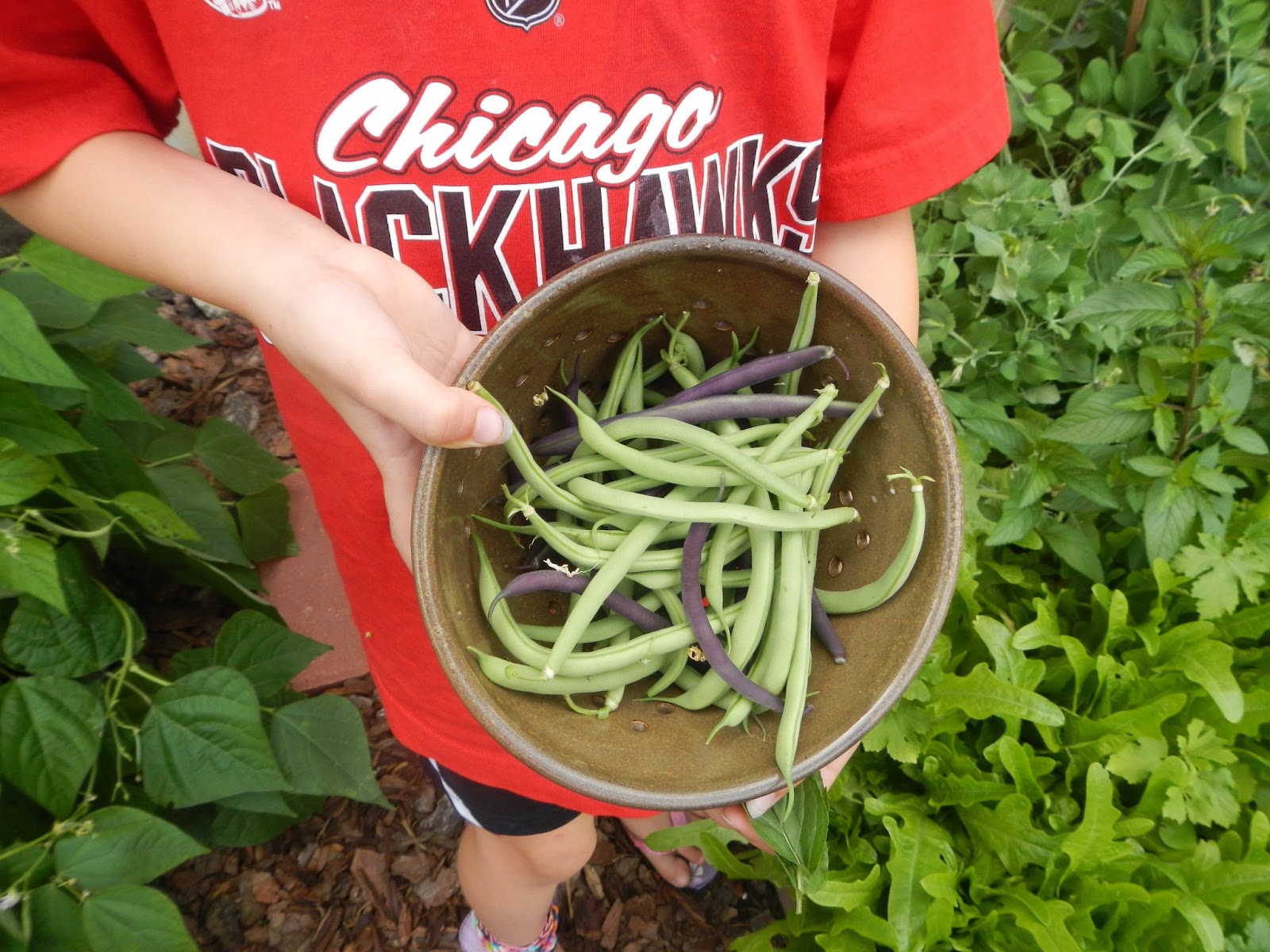 From Scratch: Quick and Easy Dilly Beans