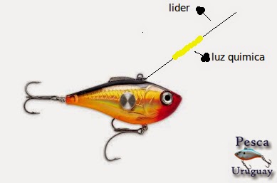 Tipos De Pesca: Pez Sable