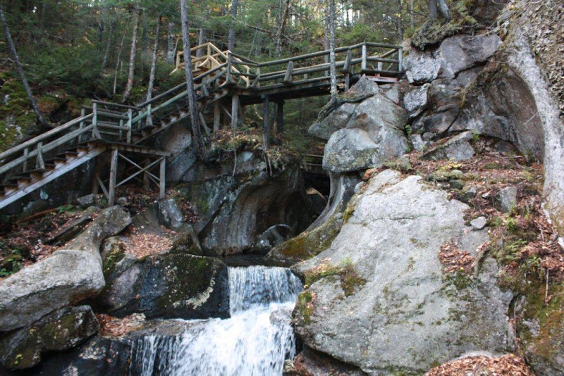 Polliwog on Safari: Wordless Wednesday: Lost River Gorge