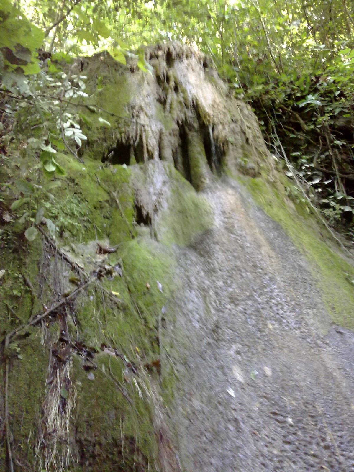 COMUNICANDO A PUEBLILLO Y EL LLANO PAPANTECO: El cerro el caracol ...