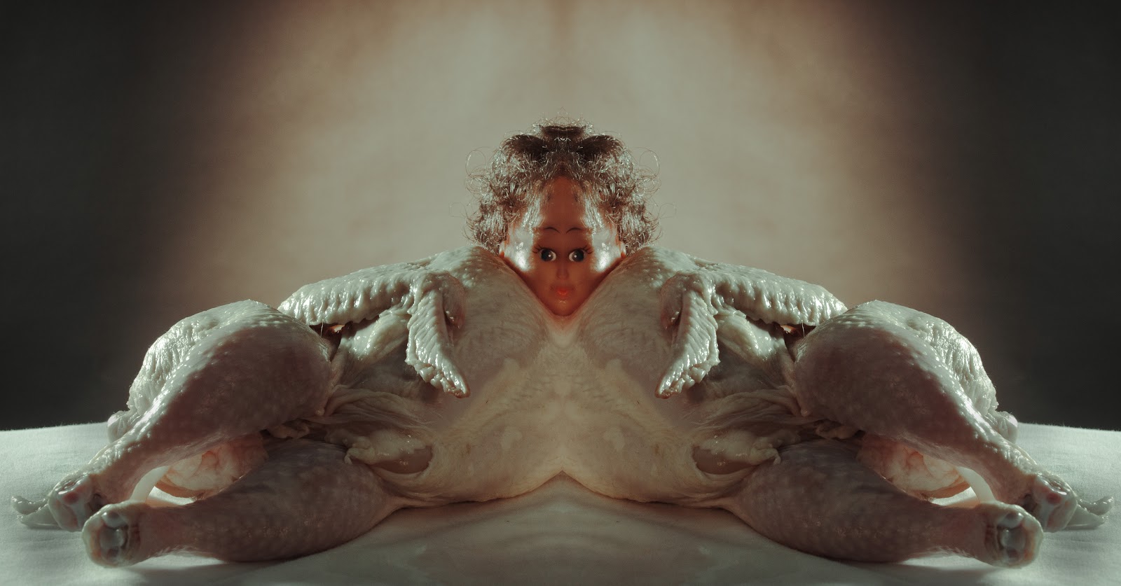 Kristy Lee Schofield