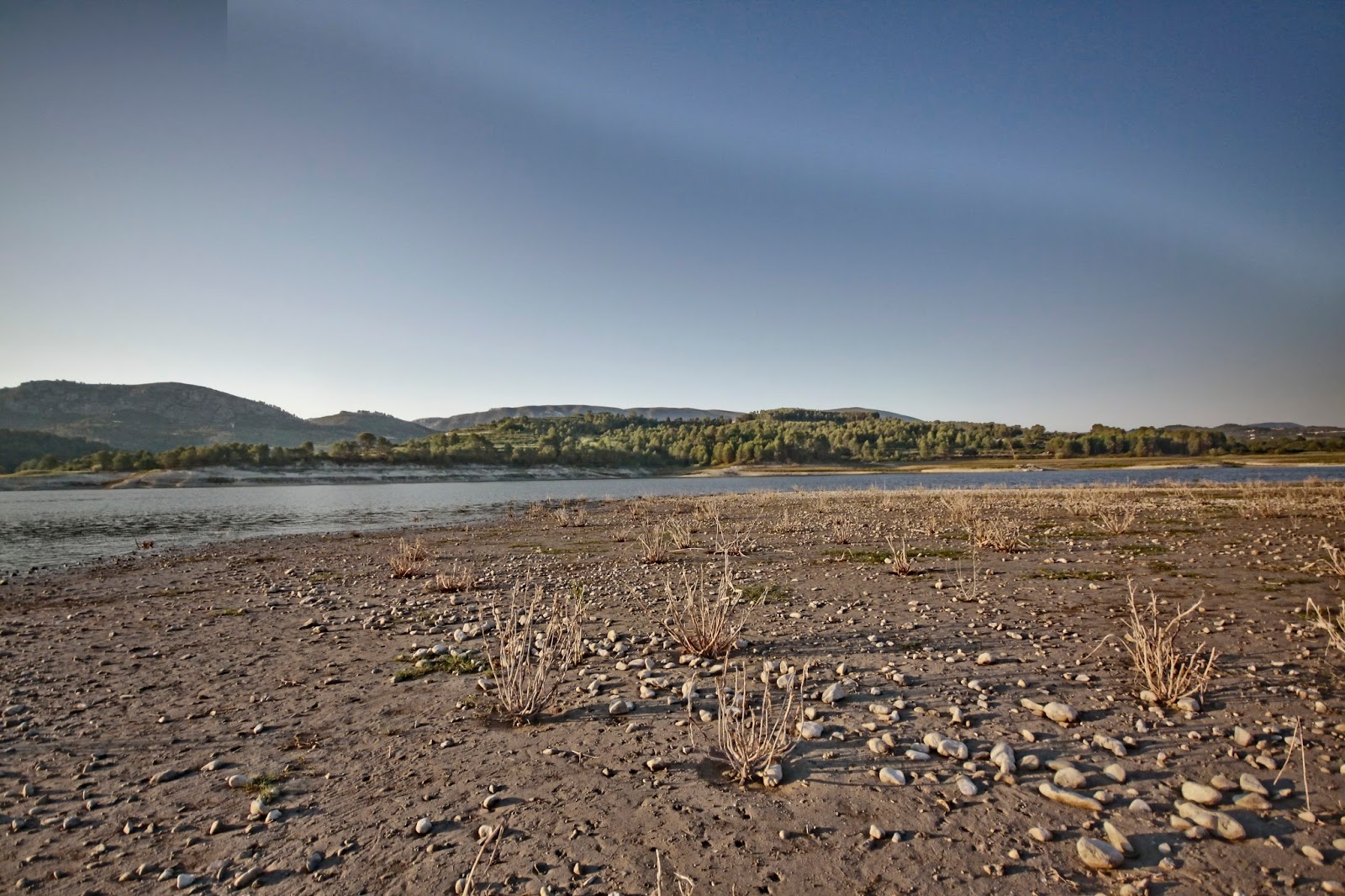 Mis fotos: El pantano..... y su vida en ella