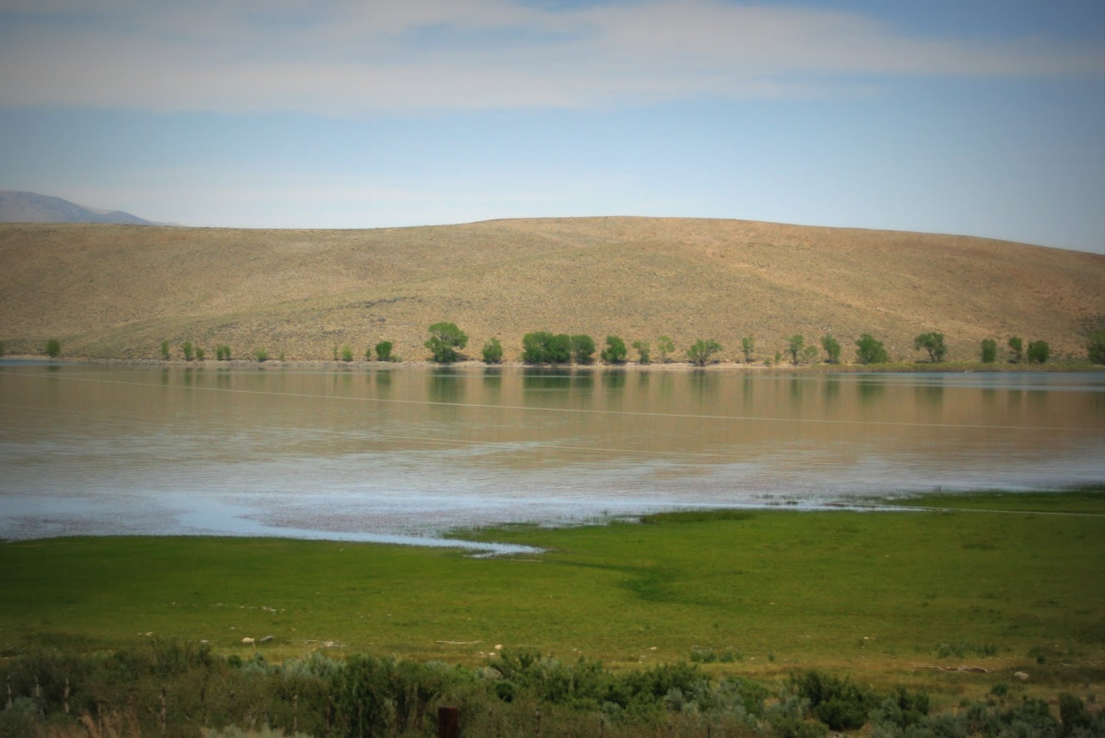 Stillhowlyntravels: Sutter Creek to Coleville...